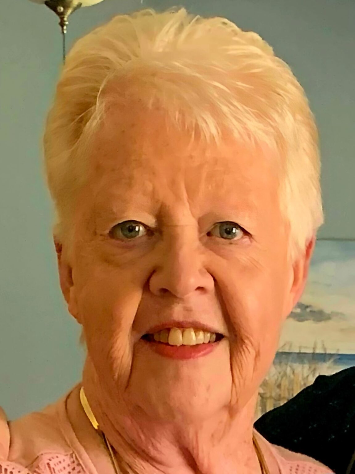 Sharon Louise Nevelier – Casey Family Options Funerals & Cremations, LLC